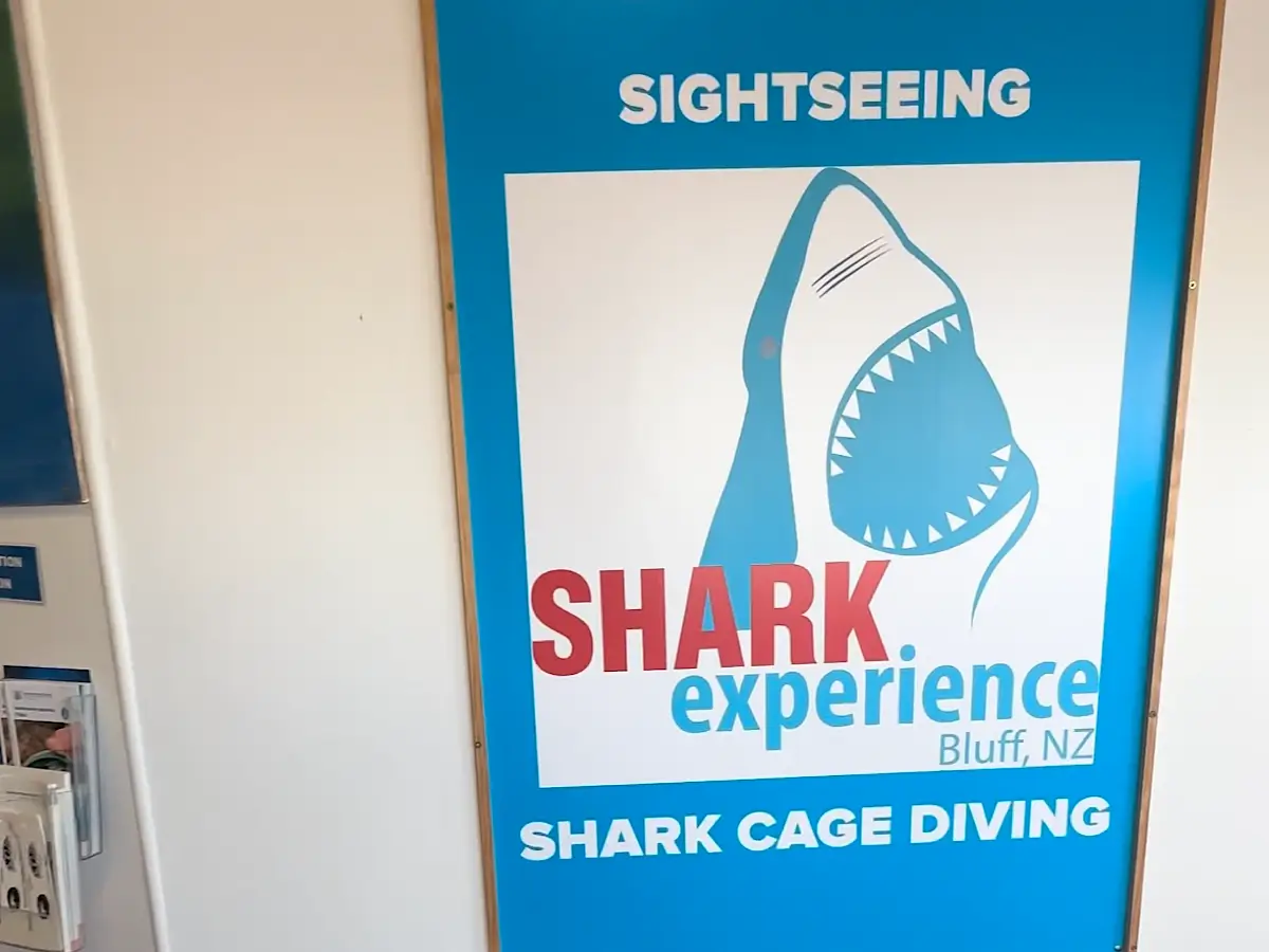 Diving with Great White Sharks in New Zealand • Earth by Foot
